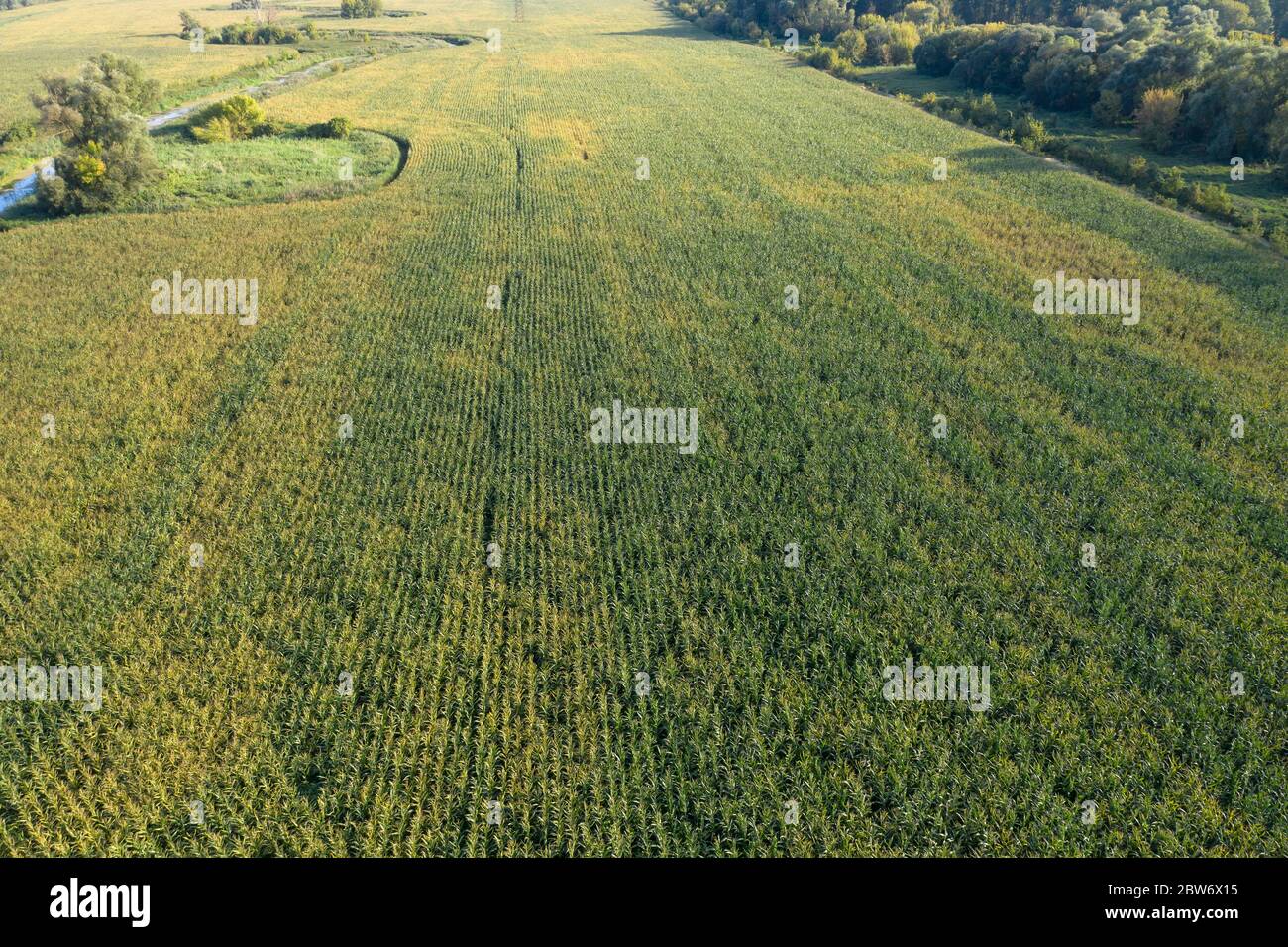 farm field, agriculture, view from above Stock Photo - Alamy