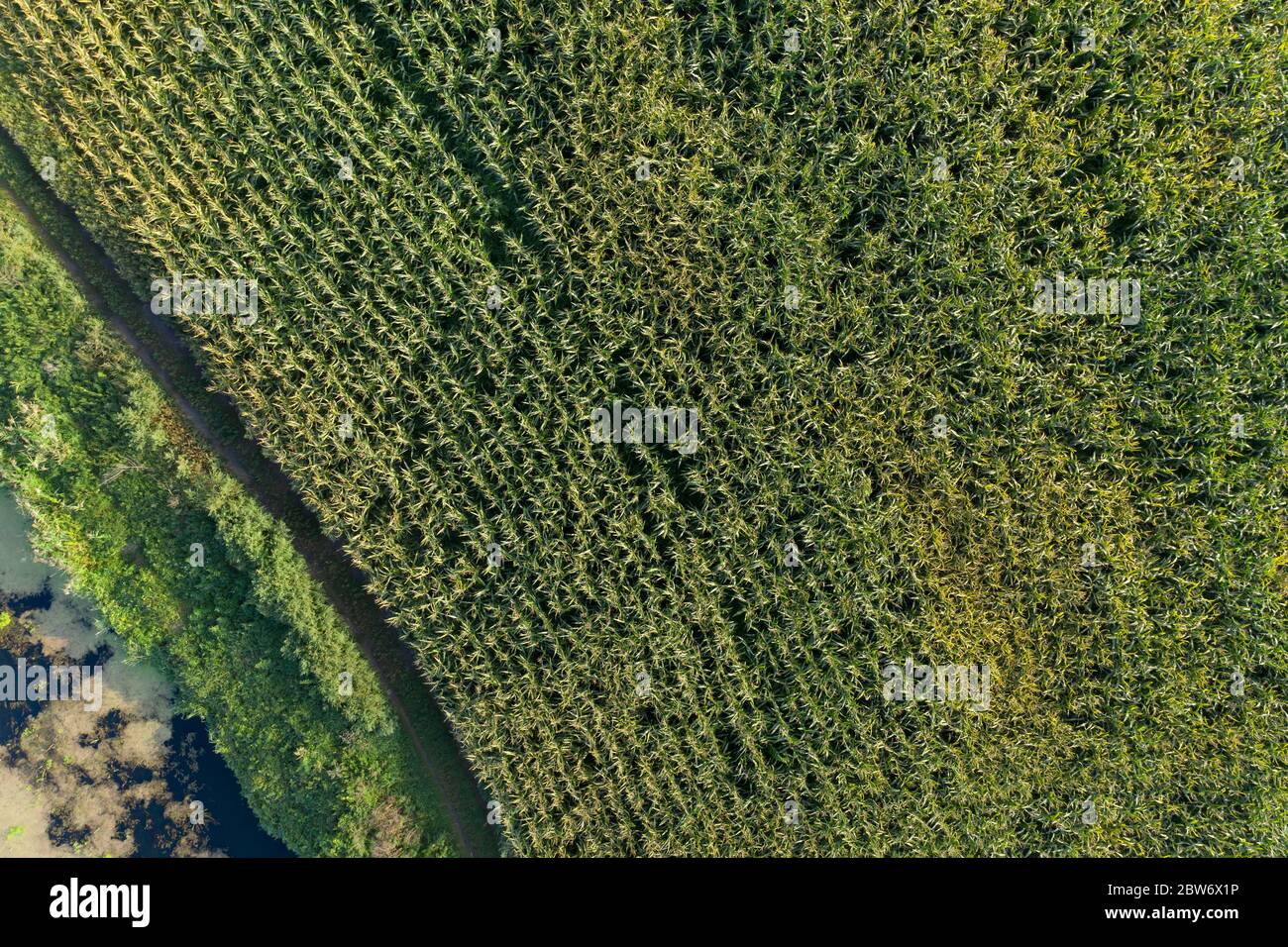 farm field, agriculture, view from above Stock Photo - Alamy