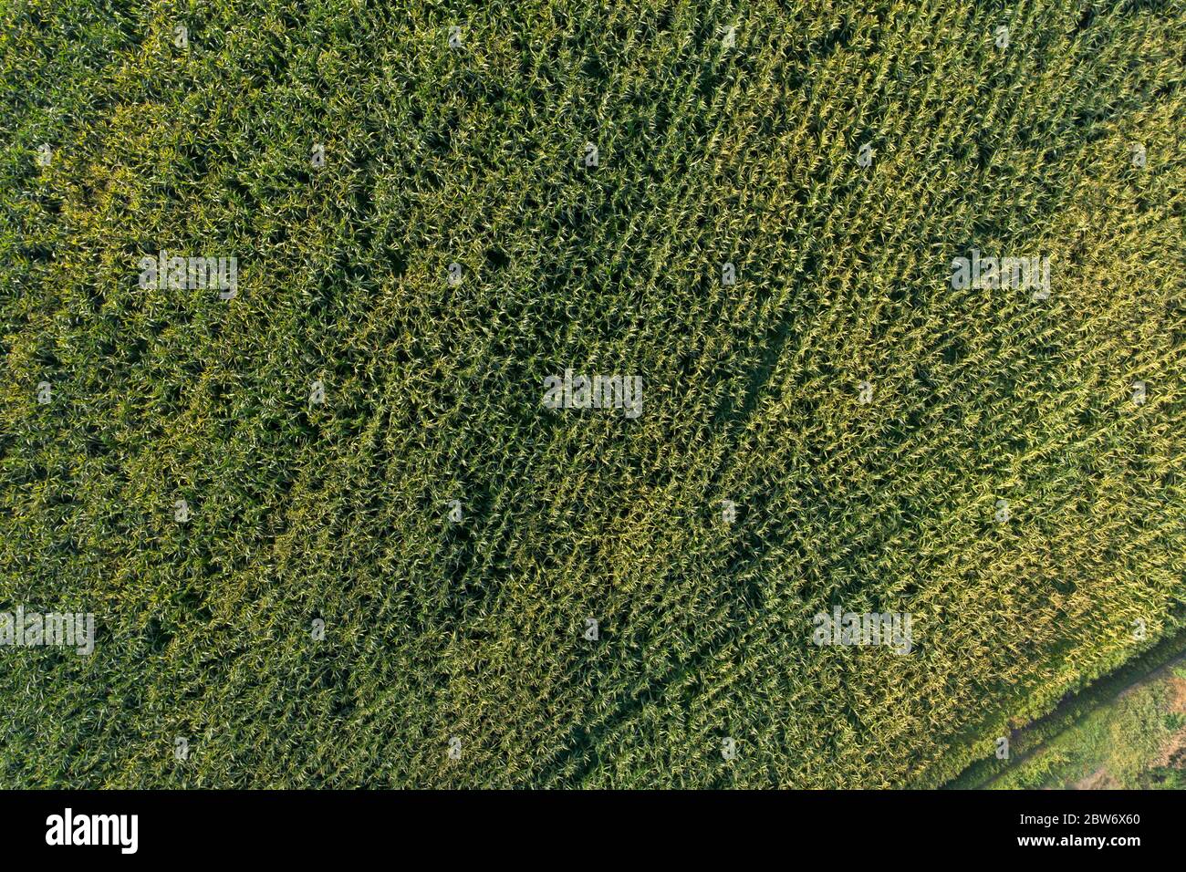 farm field, agriculture, view from above Stock Photo - Alamy
