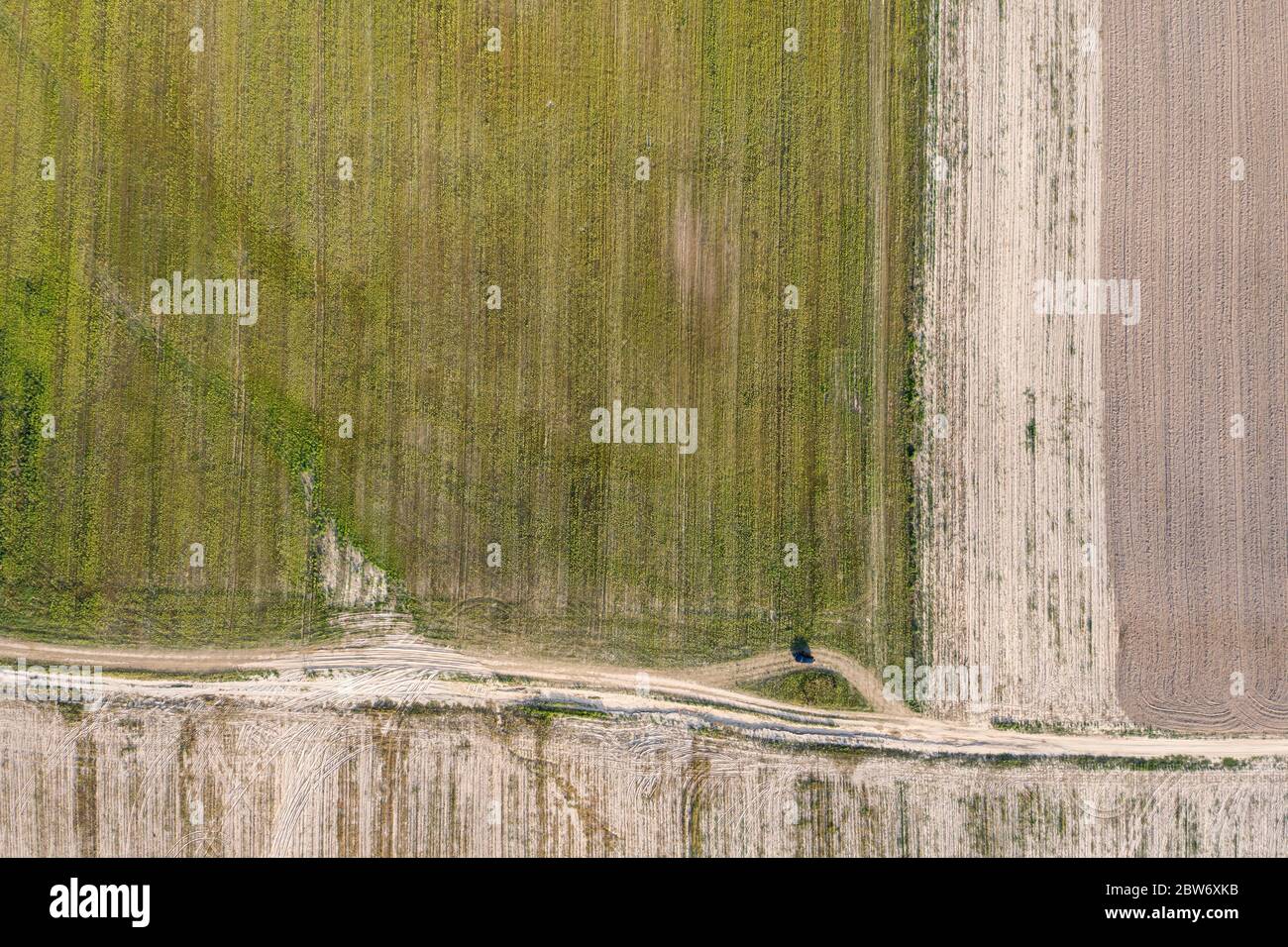 farm field, agriculture, view from above Stock Photo - Alamy