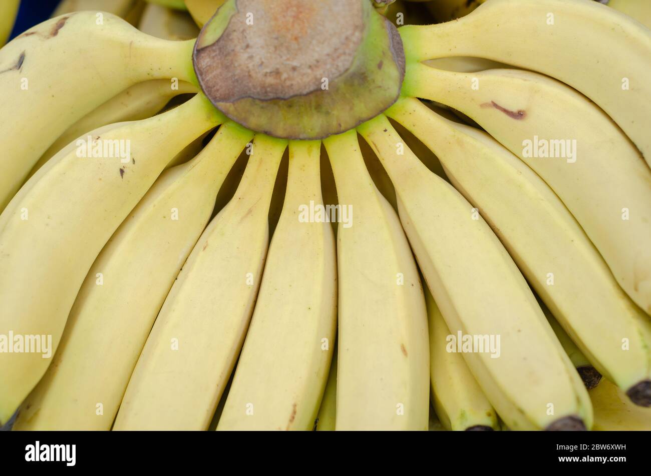 Bunch Of Fresh Bananas At A Street Market In Turkey. These bananas are ...