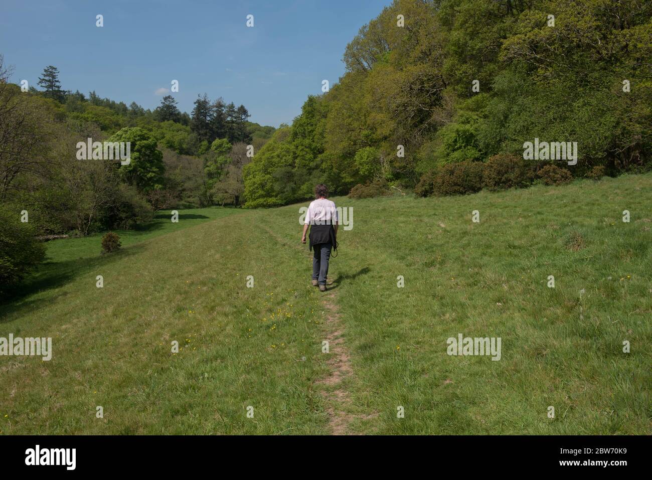 Adult Female Walking Along a Rural Track through a Field Surrounded by ...