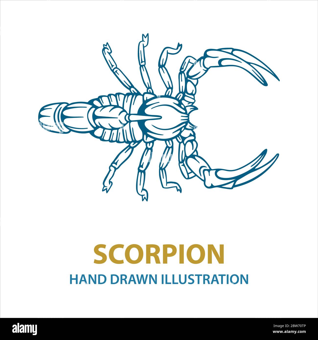Draw scorpion hi-res stock photography and images - Alamy