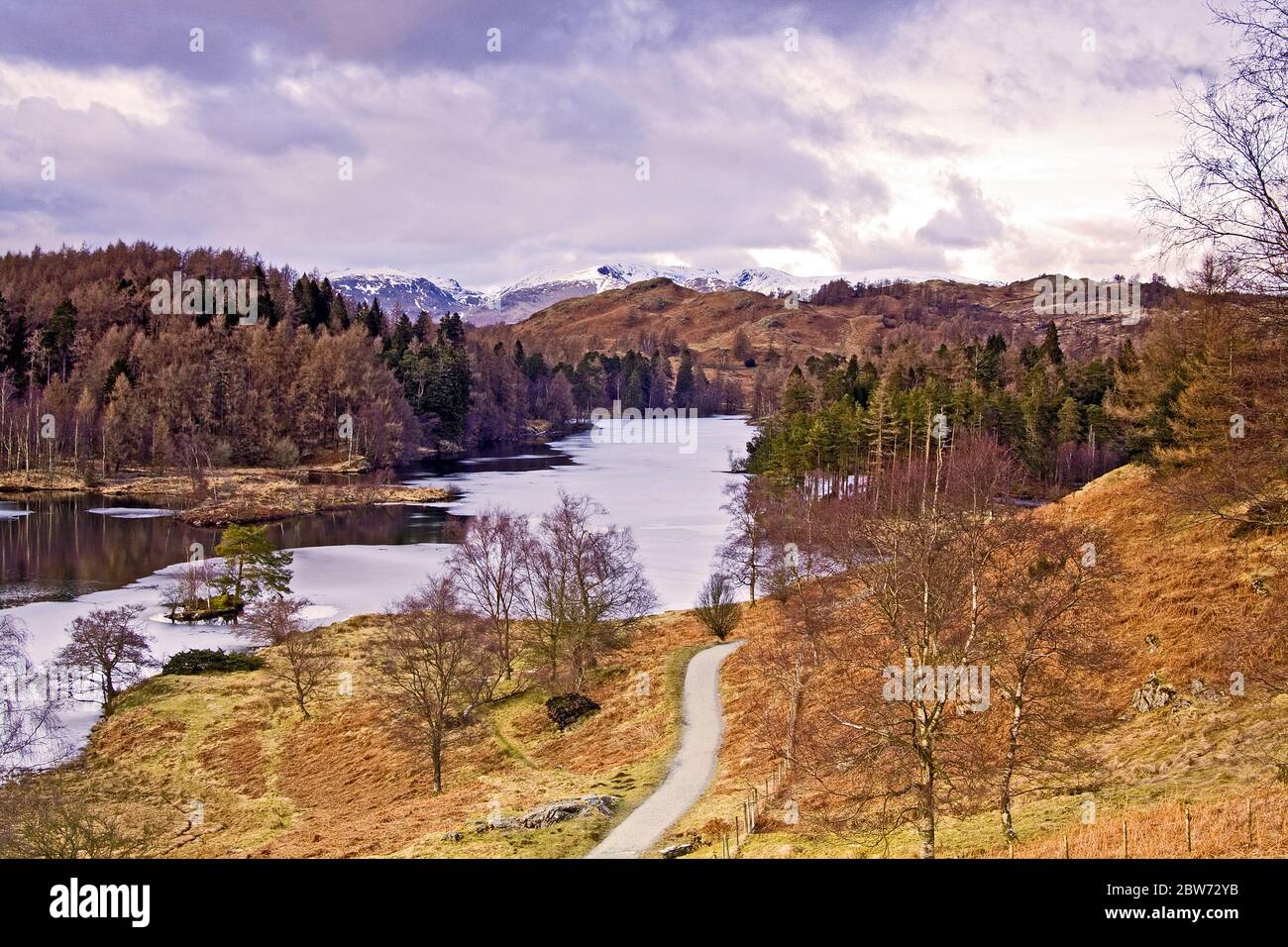 Frozen lake at Tarn Hows Coniston Lake District Cumbria Stock Photo - Alamy