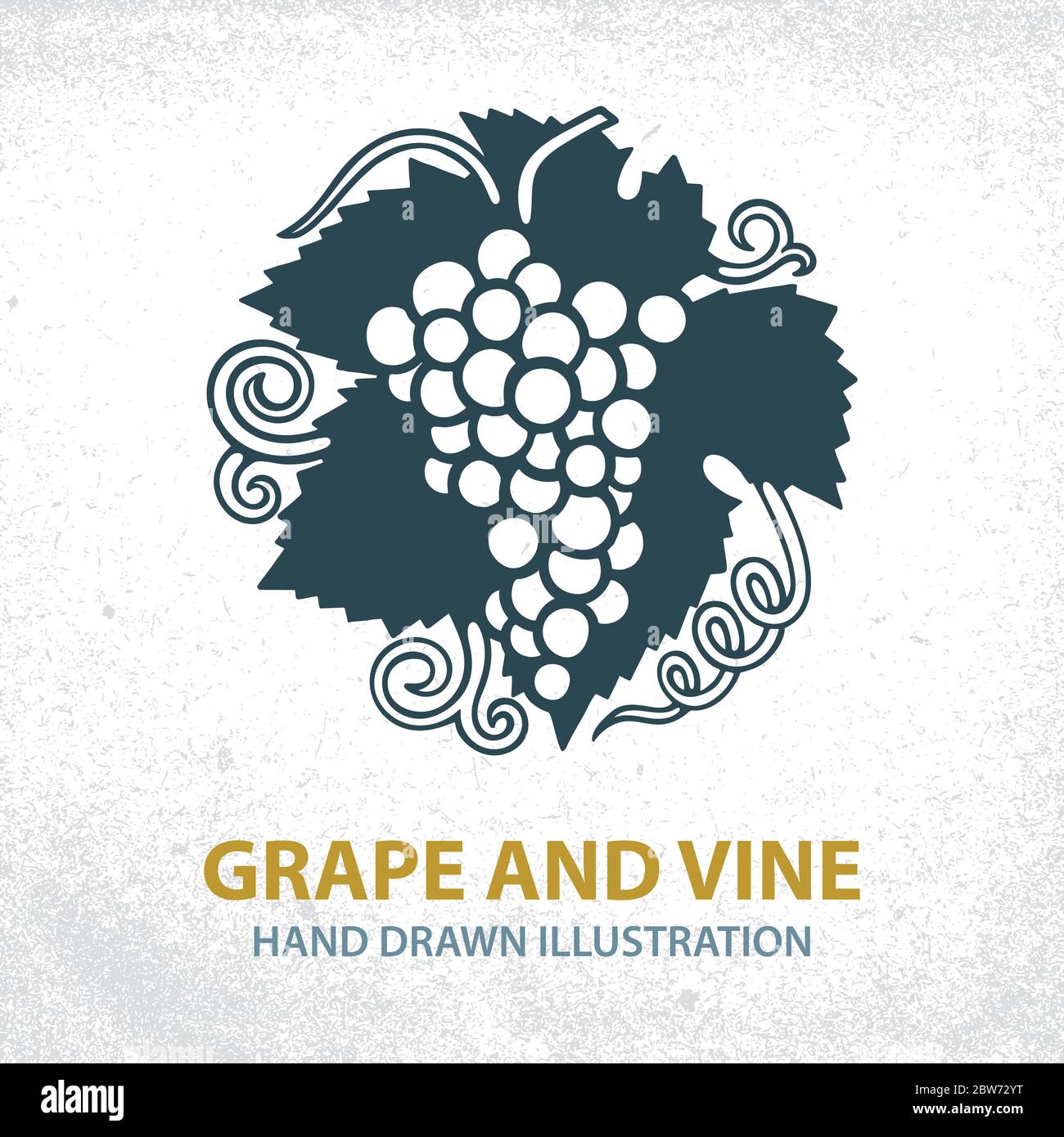Grape and vine hand drawn illustration. Grape bunch vintage style ...