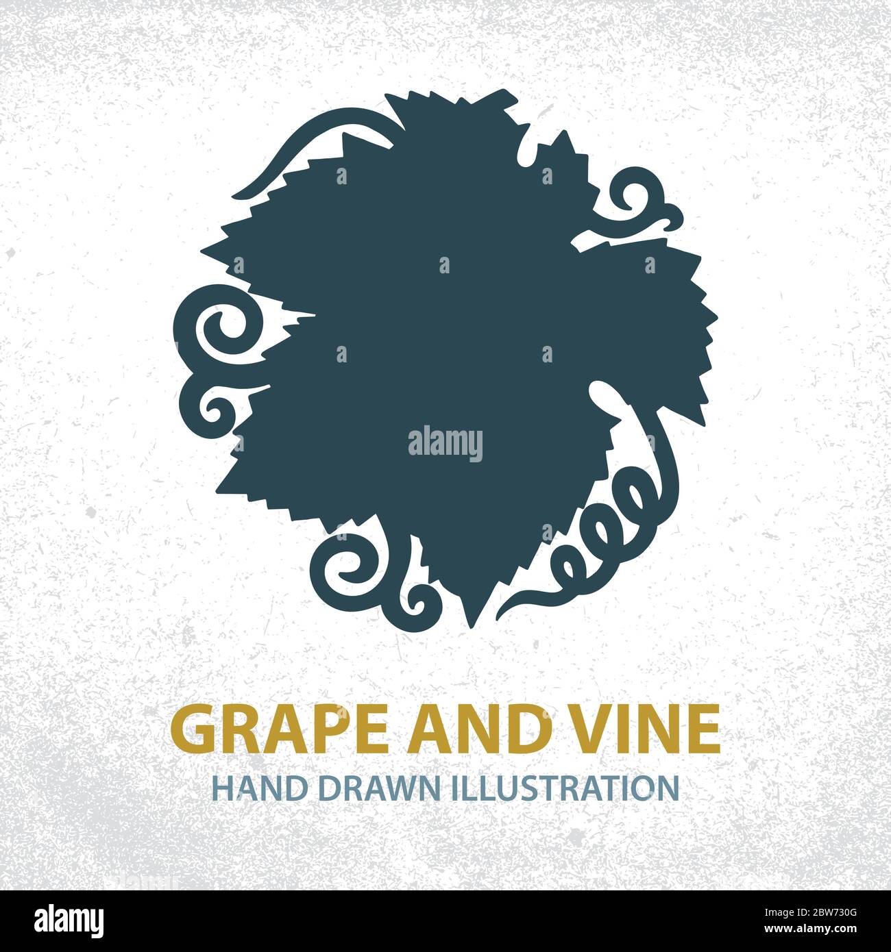 Grape leaf and vine. Hand drawn grape bunch engraving style ...