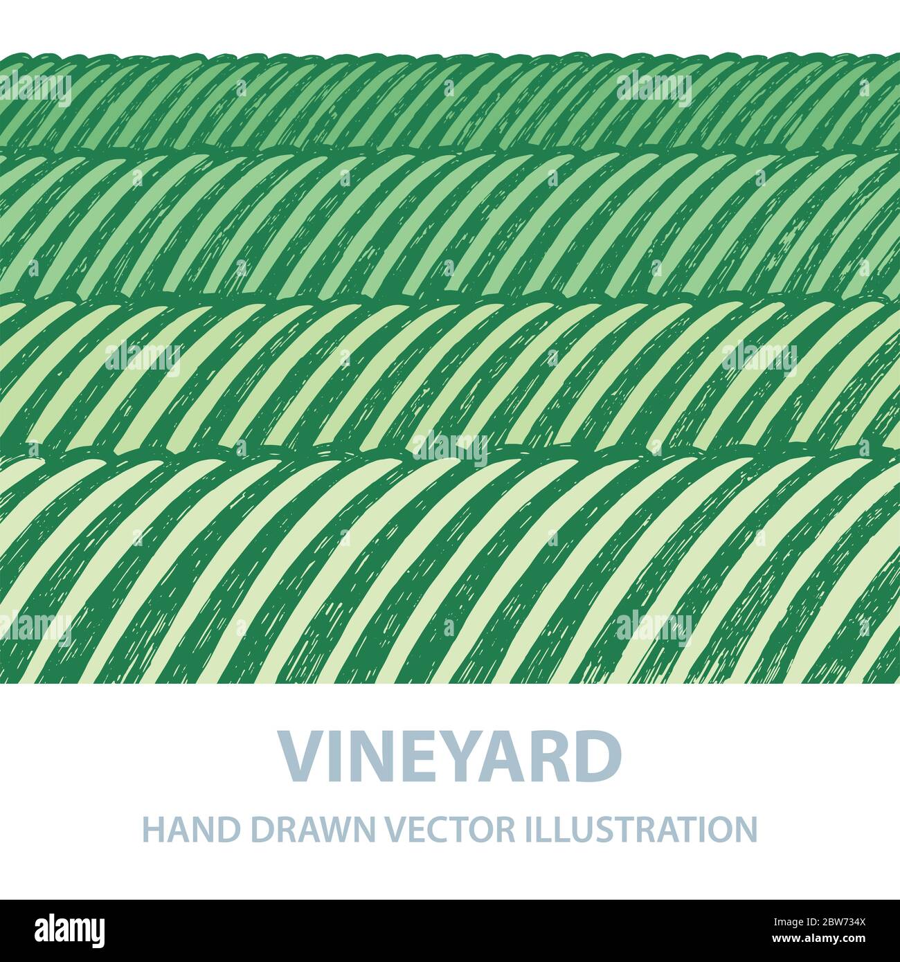 Vineyard drawing hi-res stock photography and images - Alamy