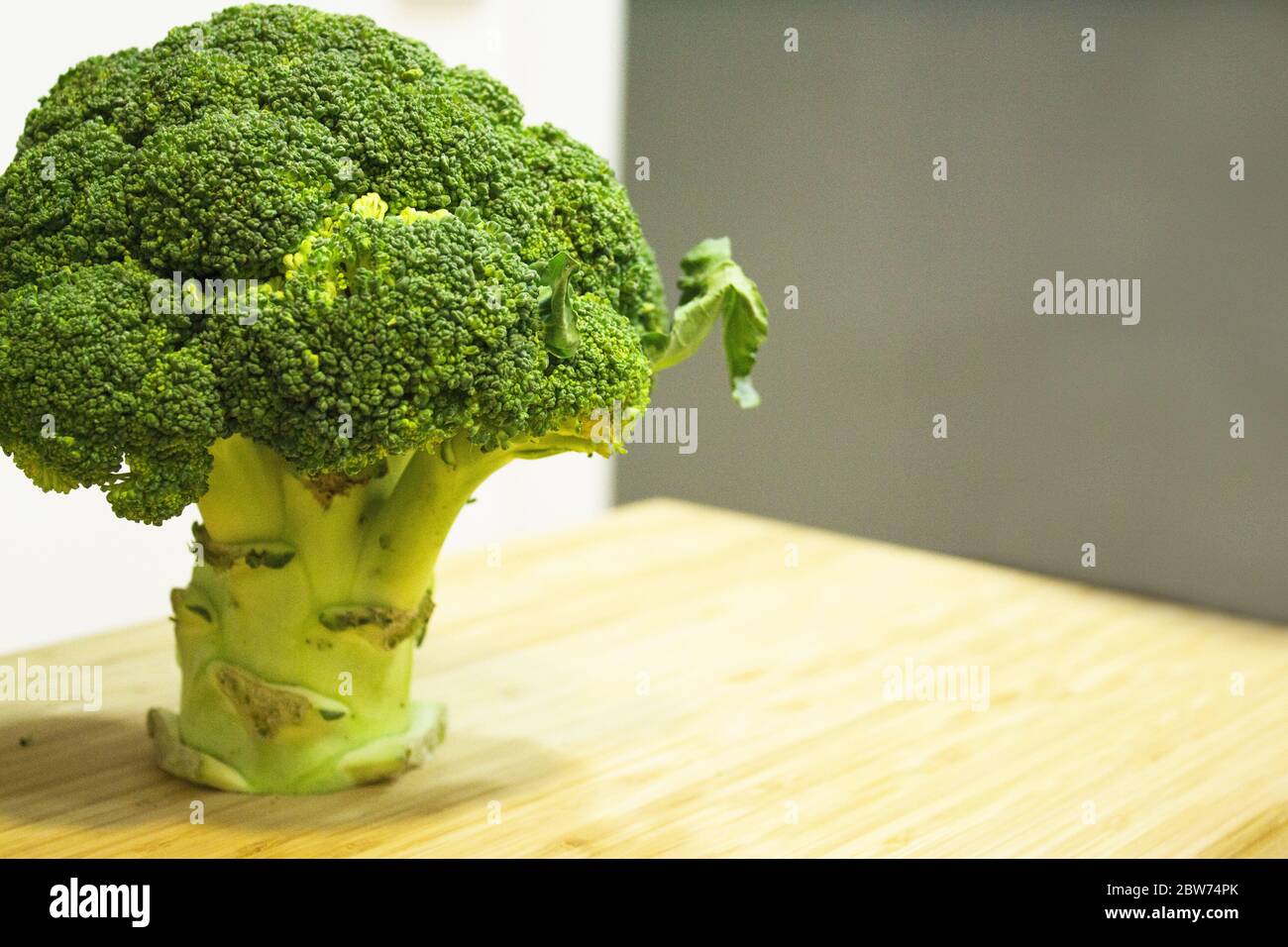 Standing broccoli simulating a tree. No people Stock Photo - Alamy