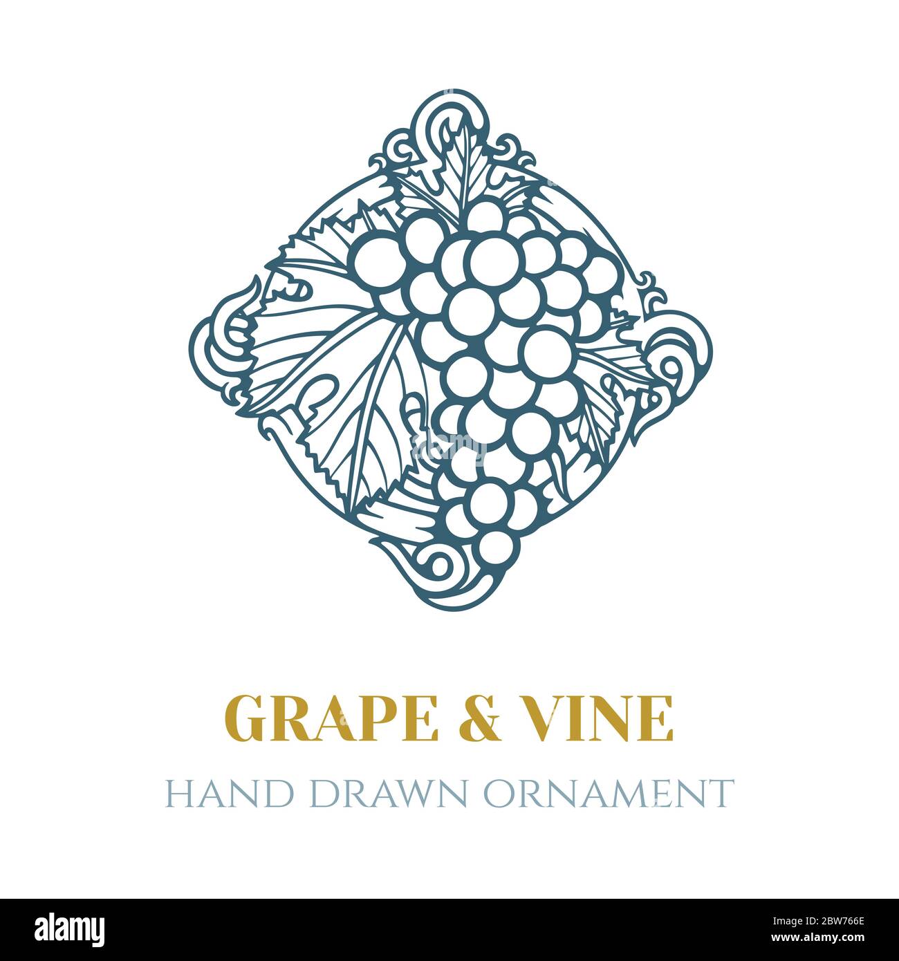 Grape and vine. Hand drawn grape bunch engraving style illustration ...
