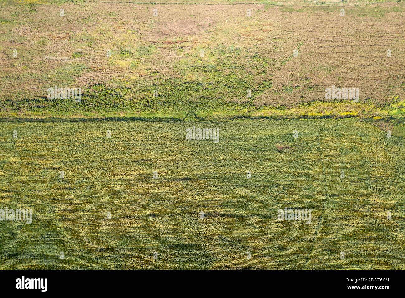 farm field, agriculture, view from above Stock Photo - Alamy