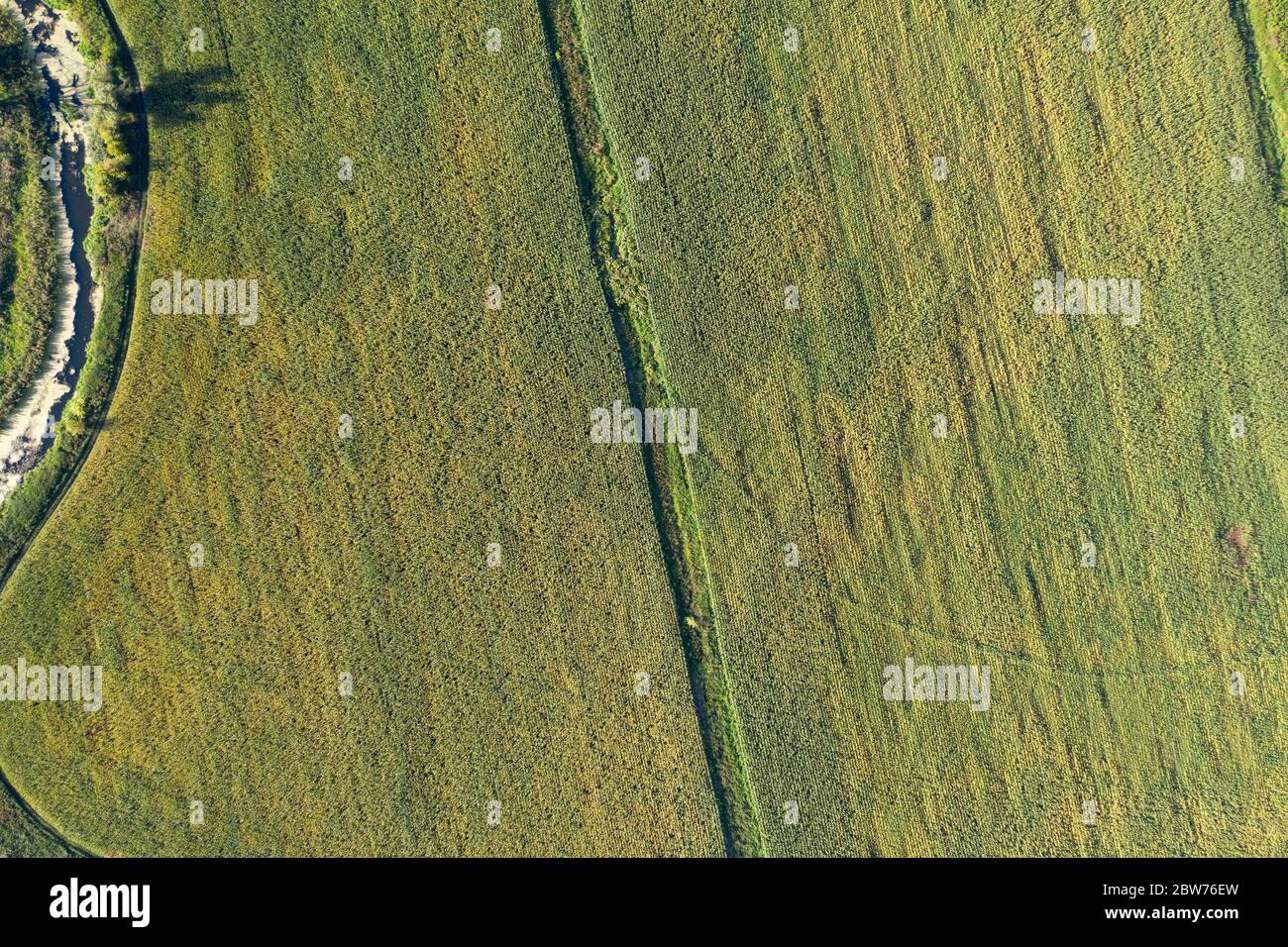farm field, agriculture, view from above Stock Photo - Alamy