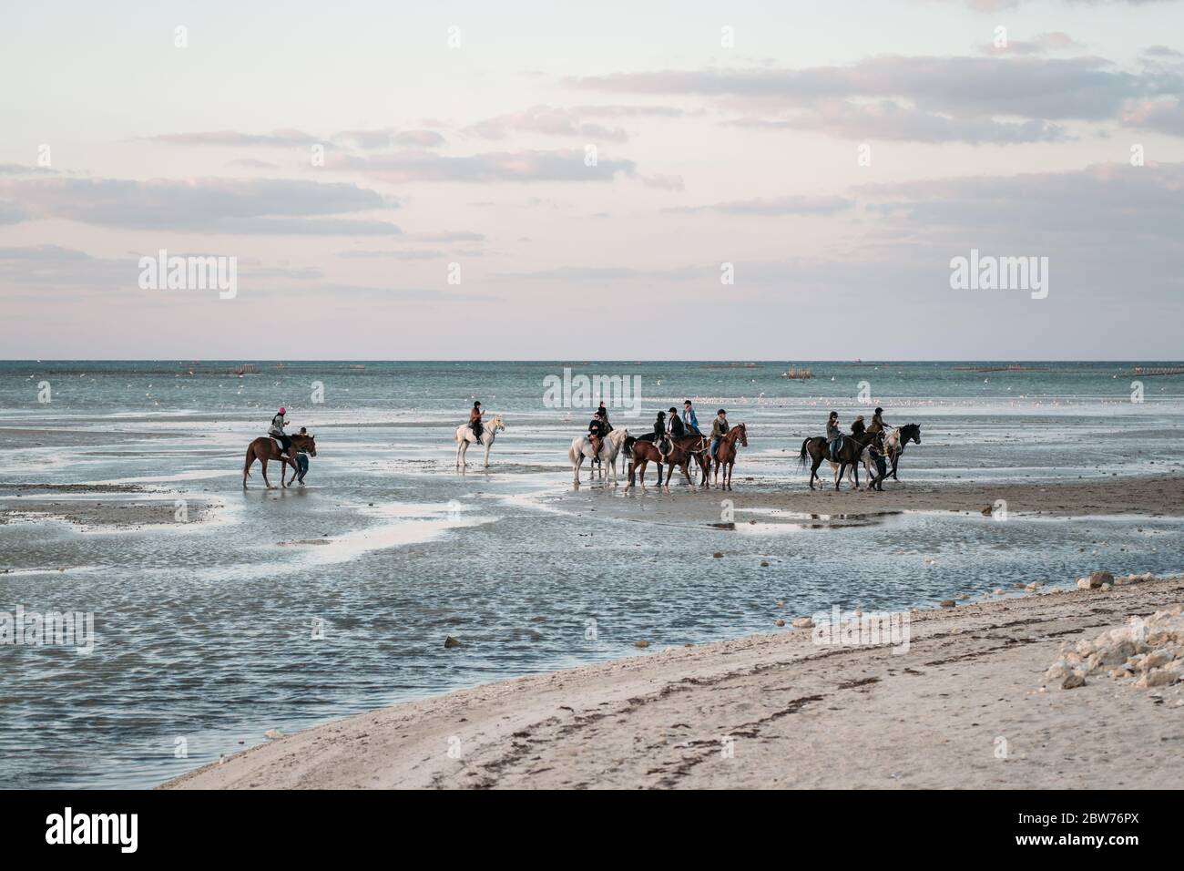 Bahrain city / Bahrain - January 15, 2020: people riding horses on ...