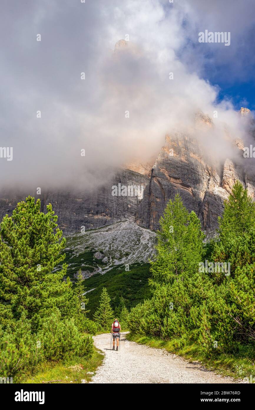 Italy Veneto Dolomiti Ampezzane -Road leading to the Astaldi path Stock ...