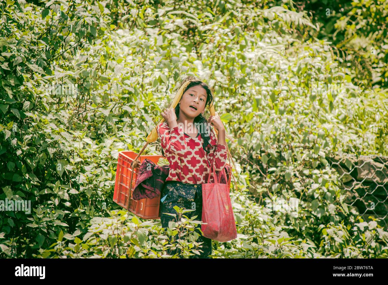 A young girl carrying basket Stock Photo - Alamy