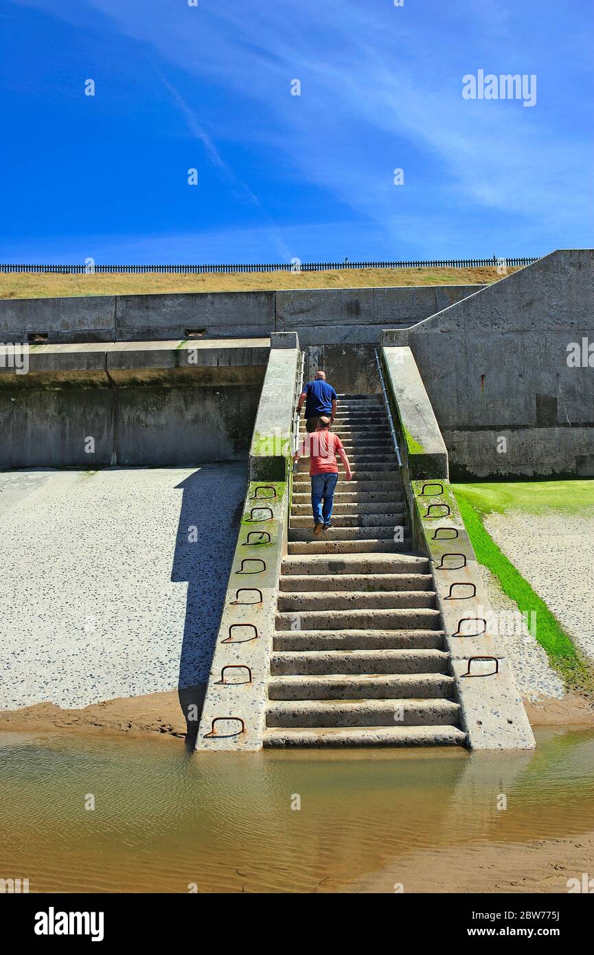 Algae concrete hi-res stock photography and images - Alamy