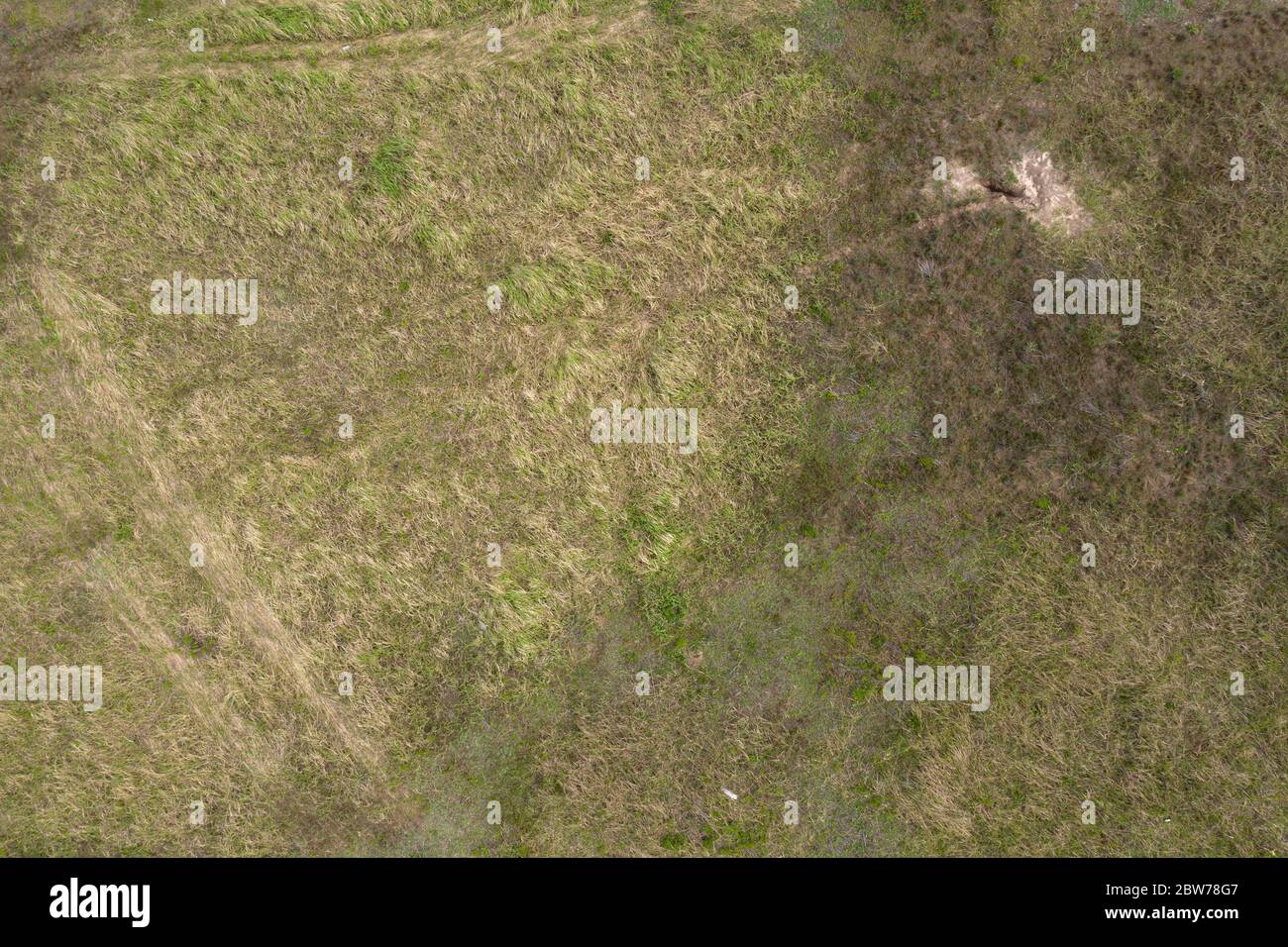 farm field, agriculture, view from above Stock Photo - Alamy