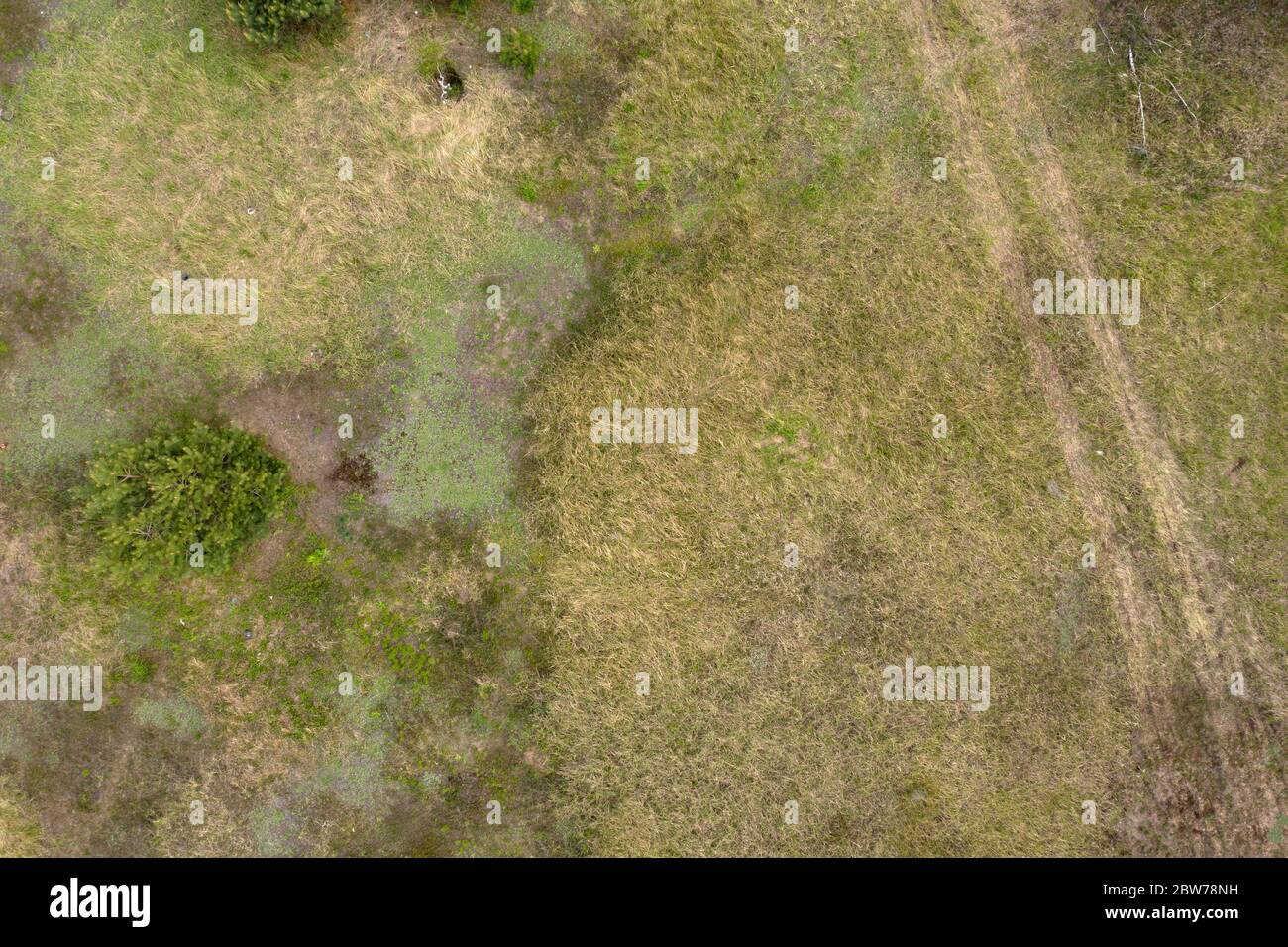 farm field, agriculture, view from above Stock Photo - Alamy