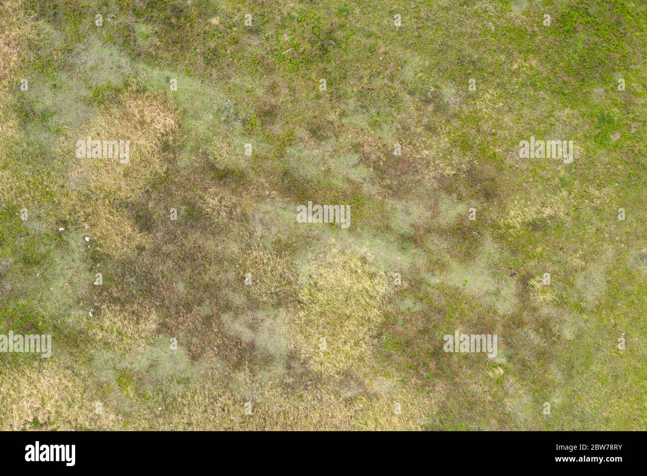 farm field, agriculture, view from above Stock Photo - Alamy