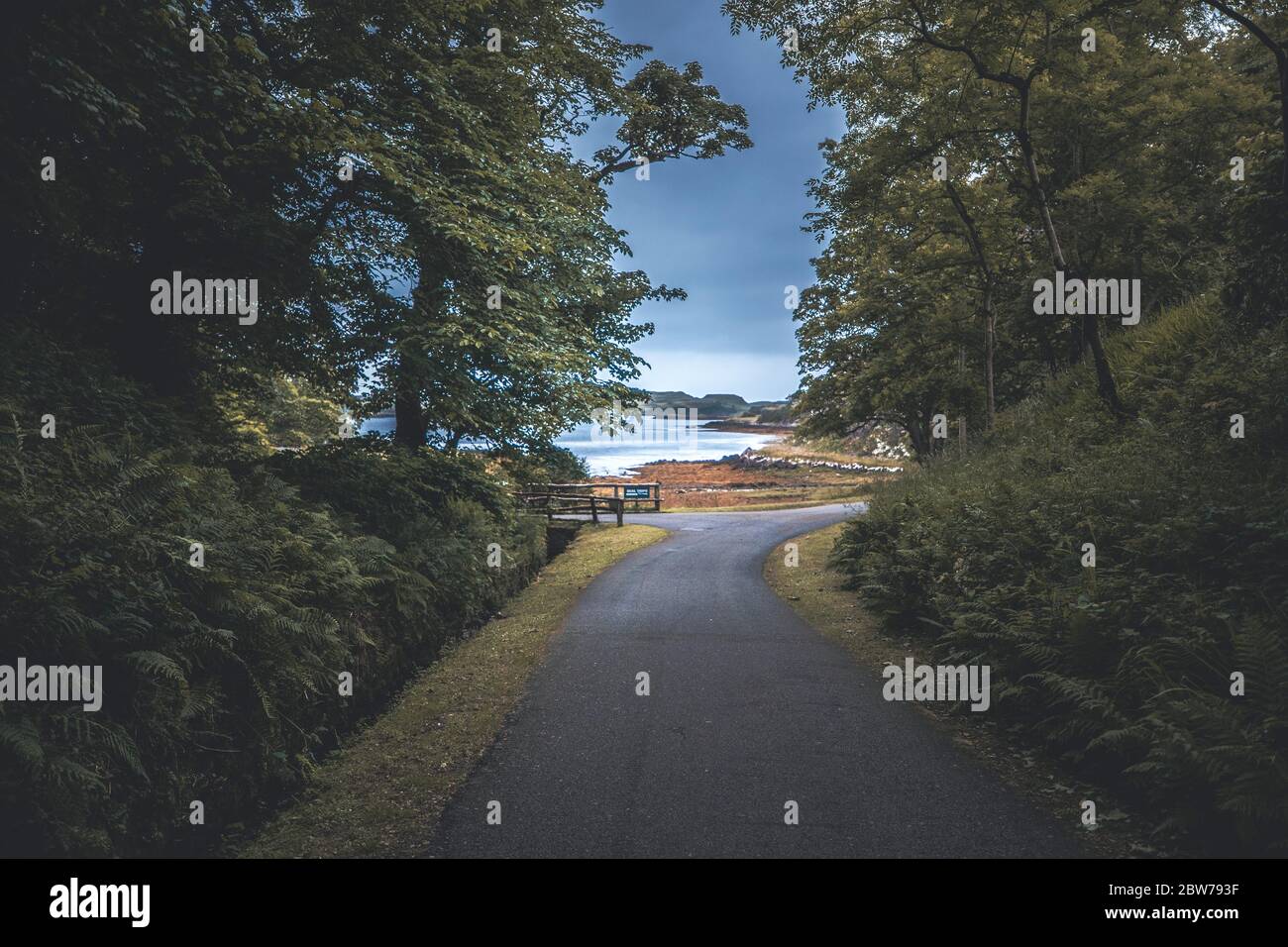 Beautiful tree side mountain road hi-res stock photography and images ...