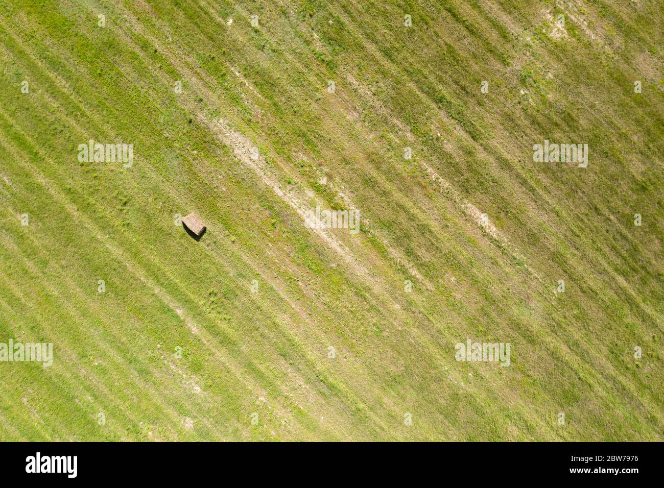 farm field, agriculture, view from above Stock Photo - Alamy