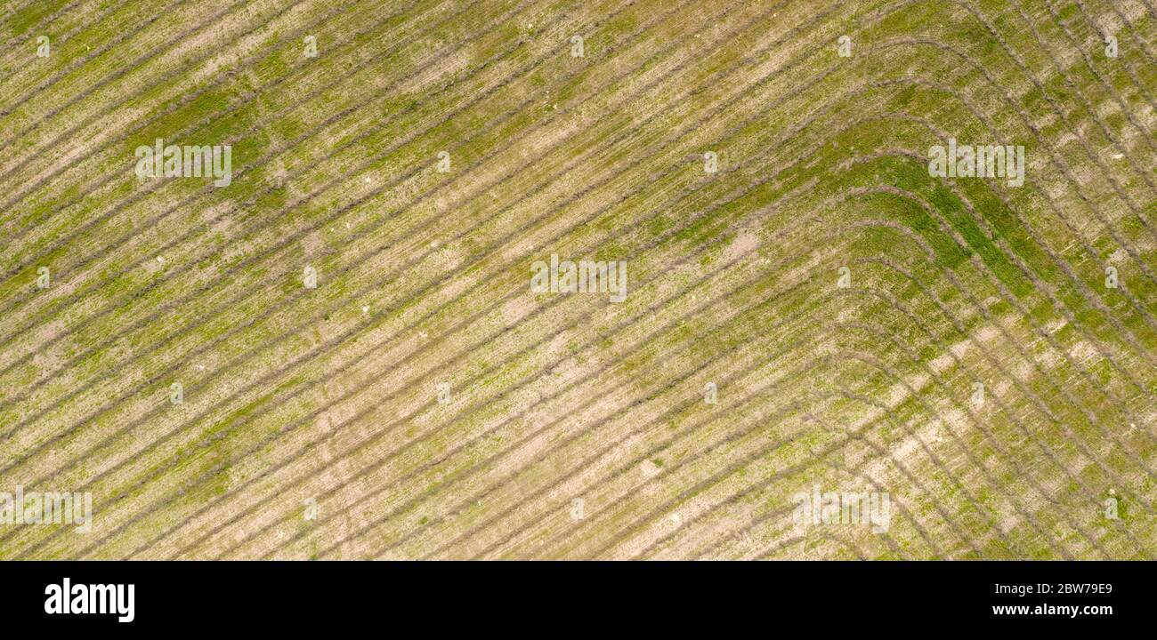 farm field, agriculture, view from above Stock Photo - Alamy