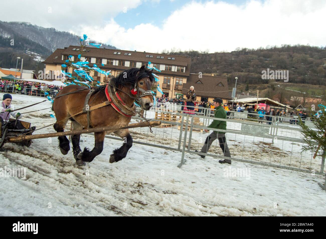 Farm horse races Stock Photo - Alamy
