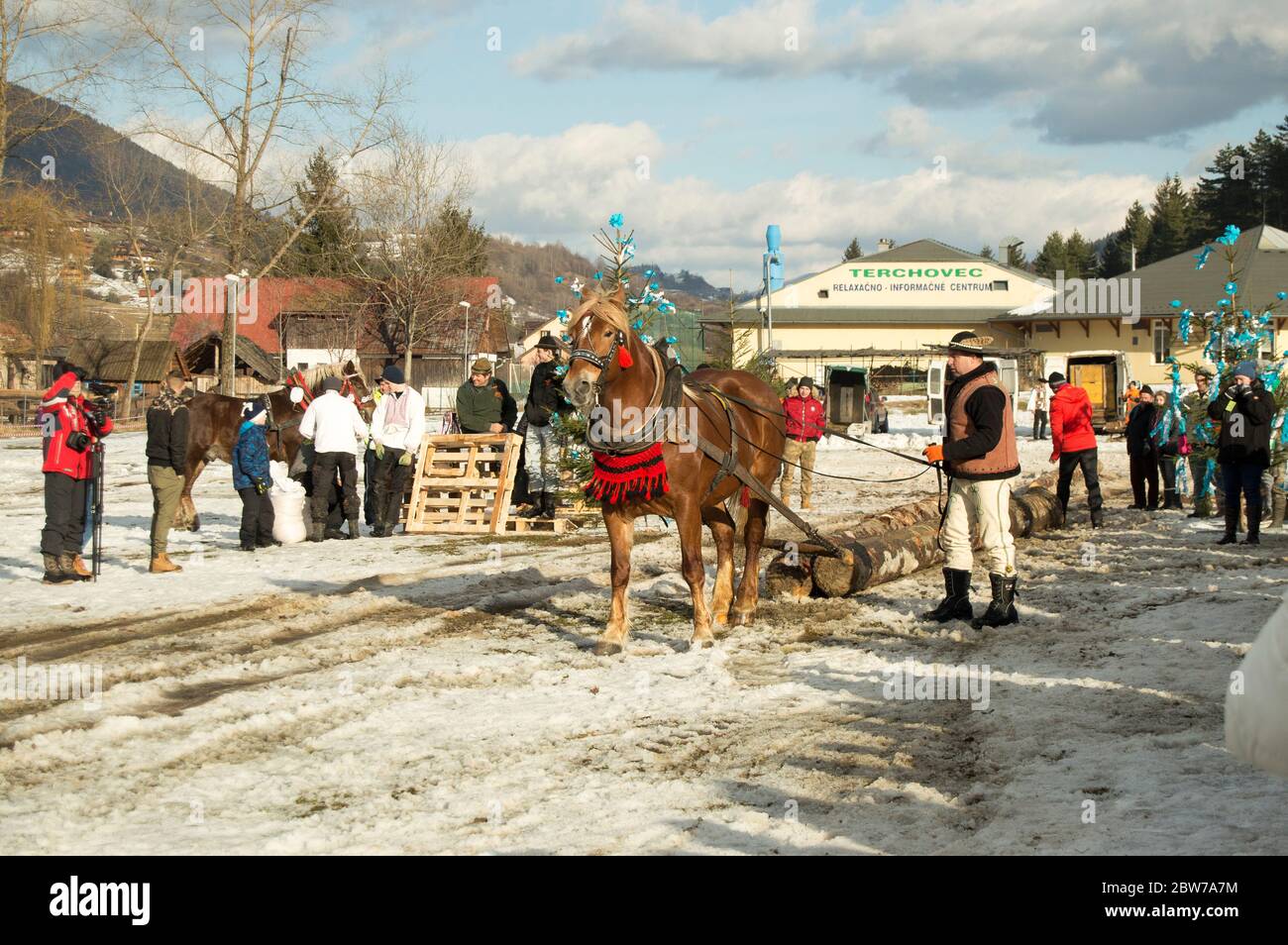 Tandem Horse Team High Resolution Stock Photography and Images - Alamy