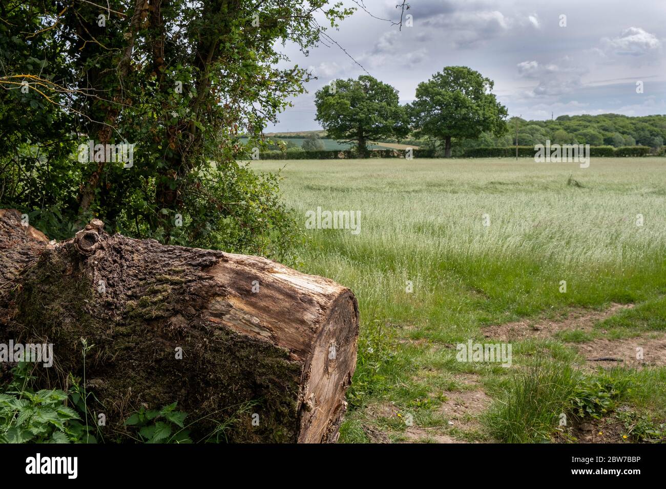 Copford village essex hi-res stock photography and images - Alamy