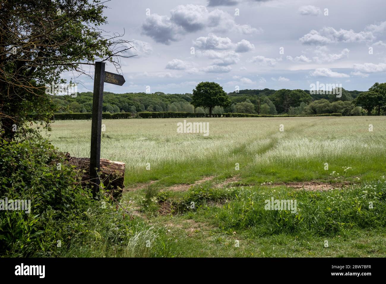 Copford village essex hi-res stock photography and images - Alamy