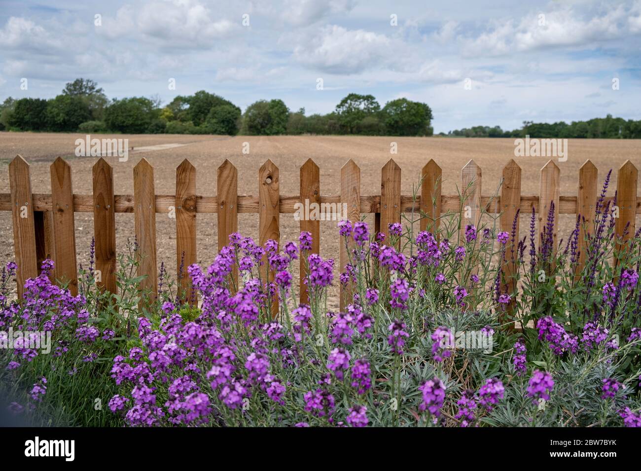 The Alma Pub, Copford, Essex Stock Photo - Alamy