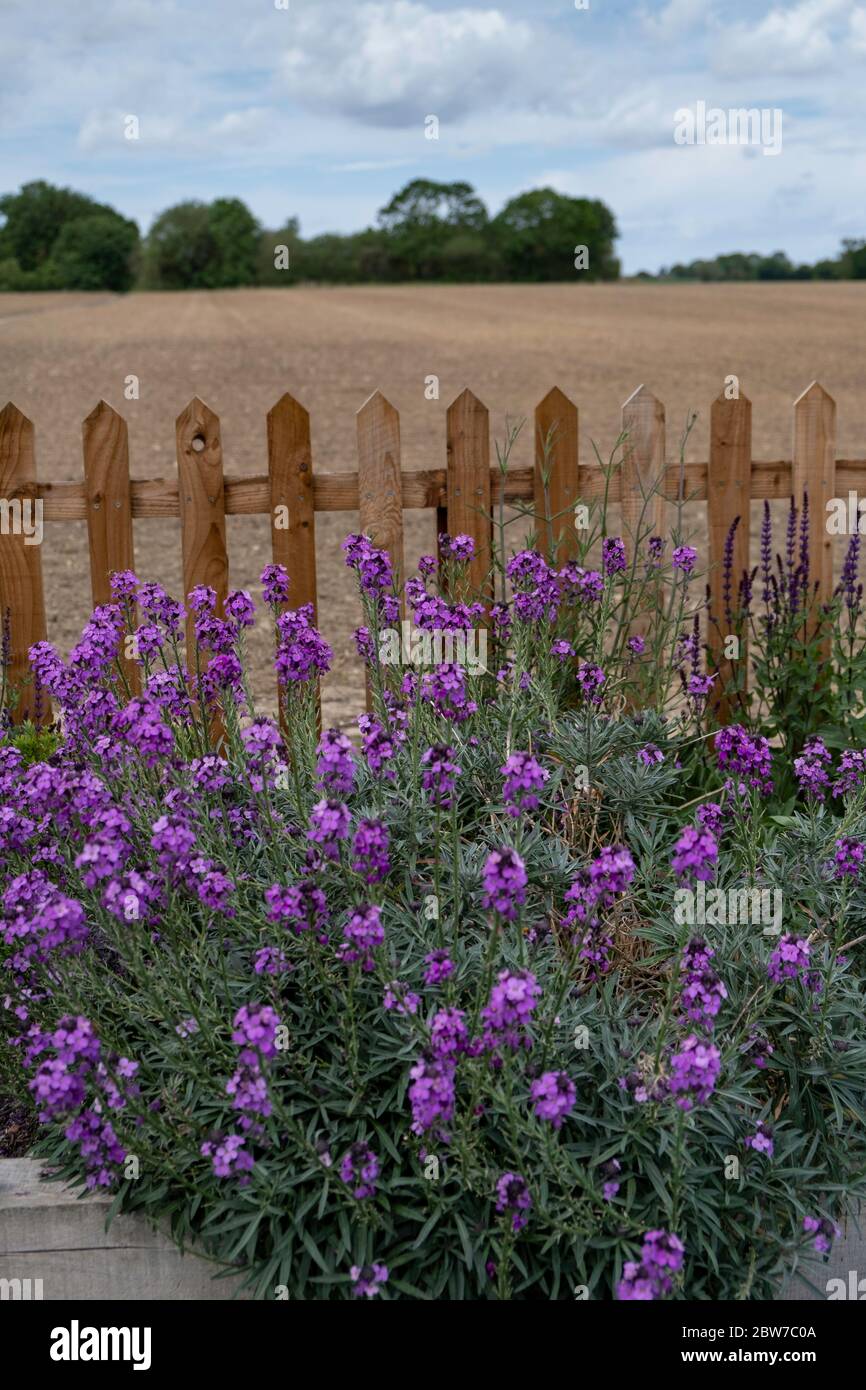 Copford village hi-res stock photography and images - Alamy