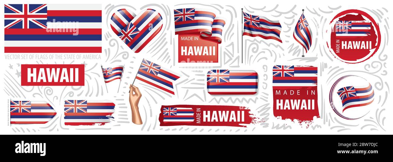 Vector set of flags of the American state of Hawaii in different ...