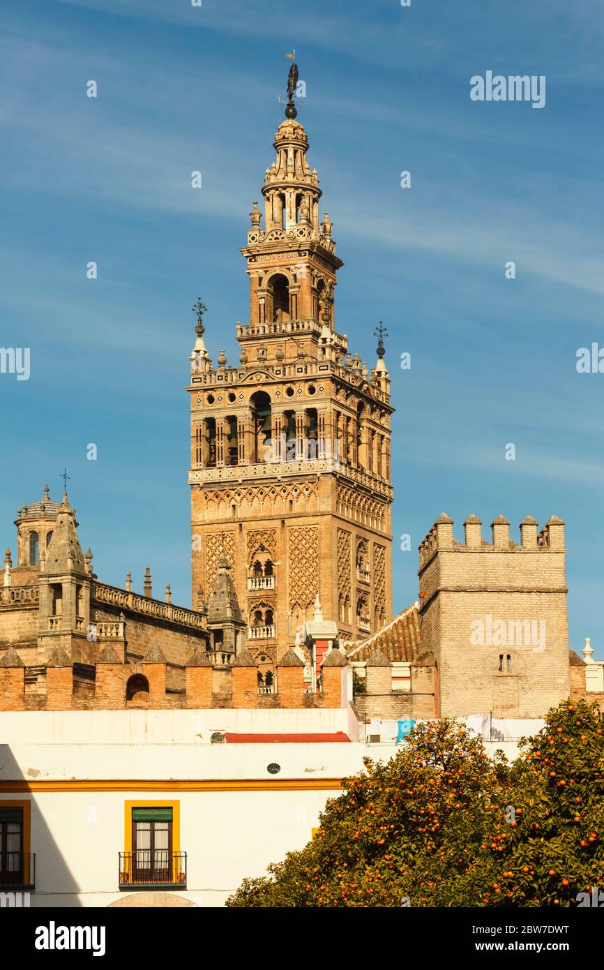 Seville, Seville Province, Andalusia, southern Spain. The Giralda tower ...
