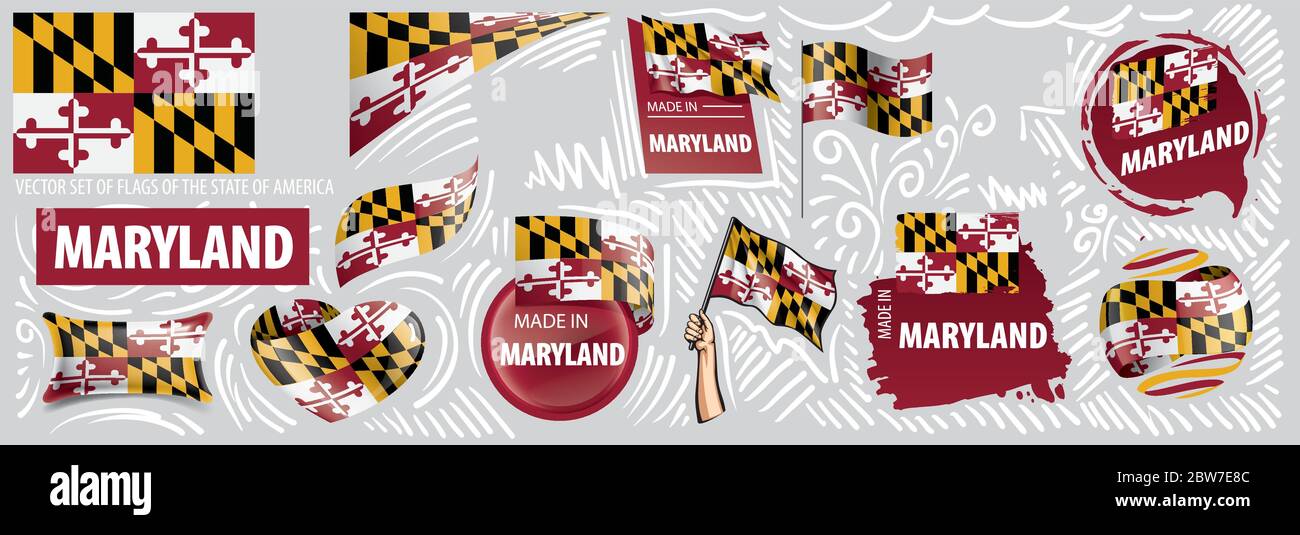 Vector set of flags of the American state of Maryland in different ...