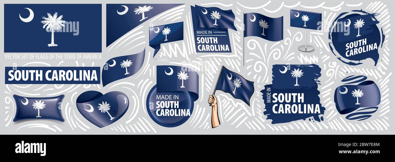 Vector set of flags of the American state of South Carolina in ...