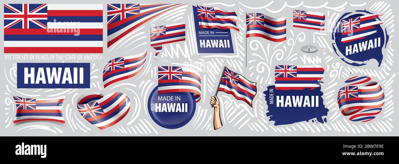 Vector set of flags of the American state of Hawaii in different ...