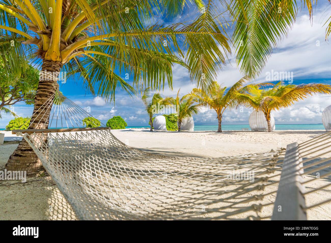 Tropical Paradise Hammock