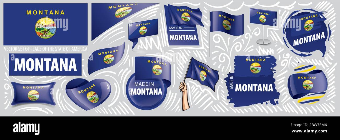 Vector set of flags of the American state of Montana in different ...