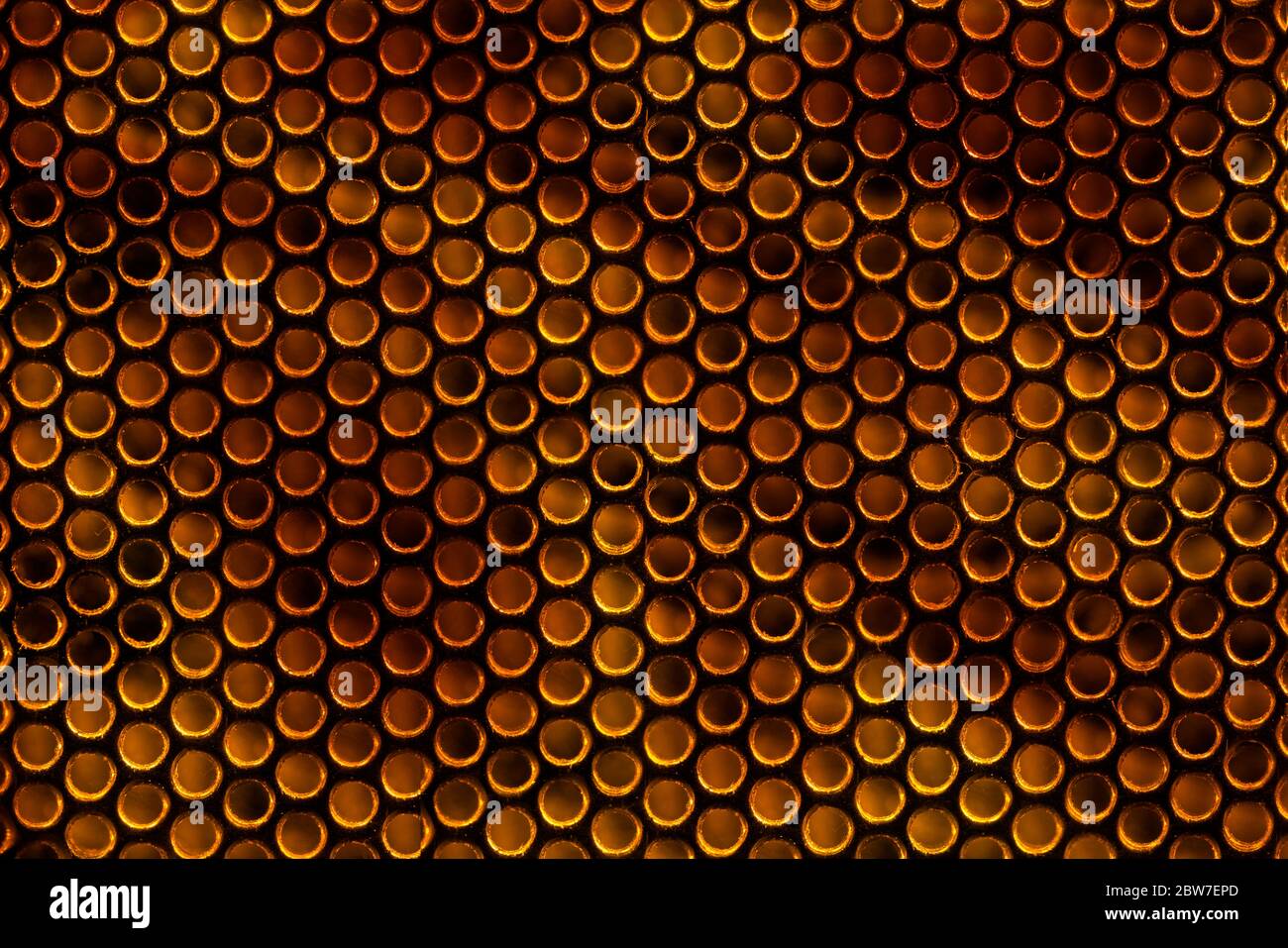 Gold metal abstract texture. blank for designers. round lattice Stock ...