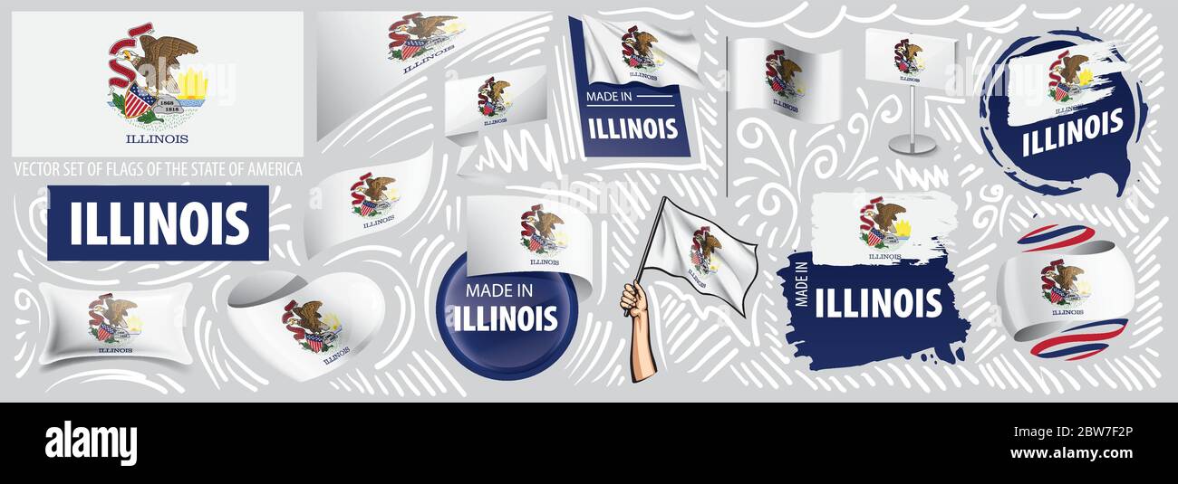 Vector set of flags of the American state of Illinois in different ...