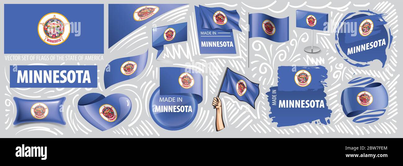 Vector set of flags of the American state of Minnesota in different ...