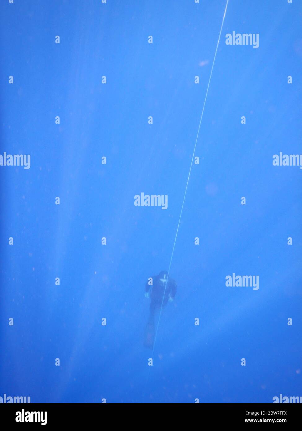 Free diving in the sea at Noli, Liguria - Italy Stock Photo - Alamy