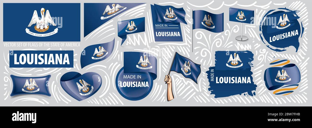 Vector set of flags of the American state of Louisiana in different ...