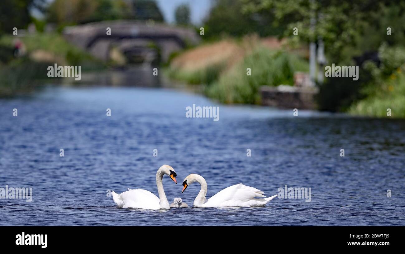 Co canal hi-res stock photography and images - Alamy
