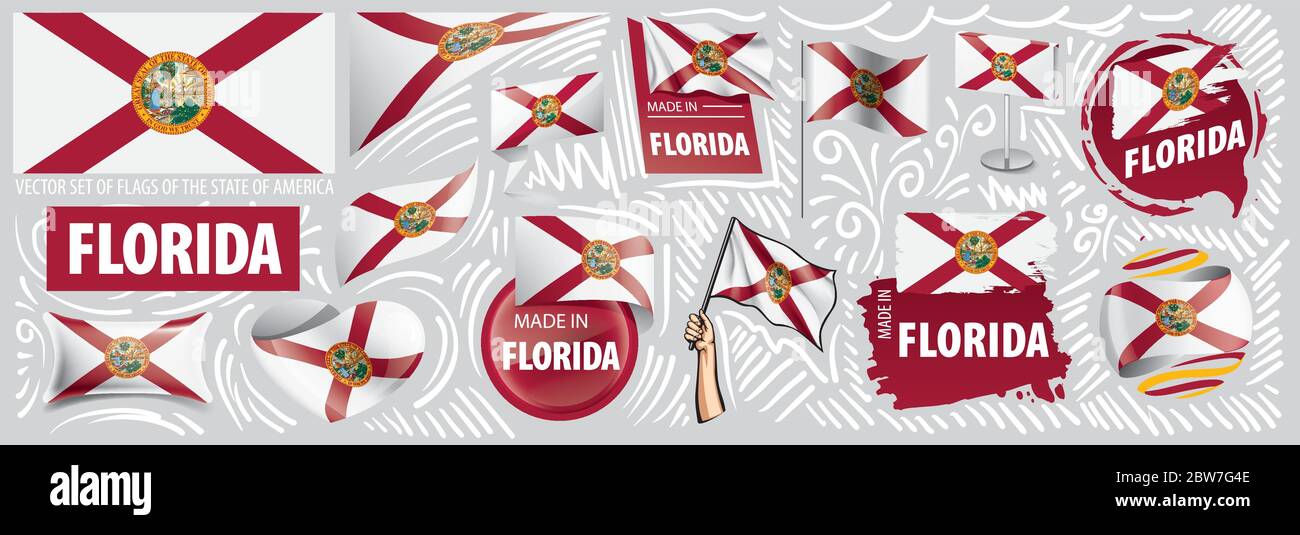 Vector set of flags of the American state of Florida in different ...