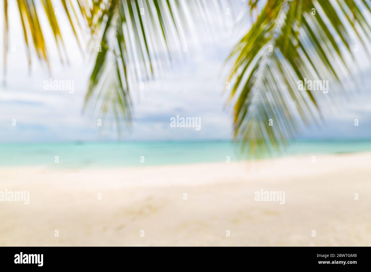 Summer exotic sandy beach with blur palms and sea on background. Dream ...