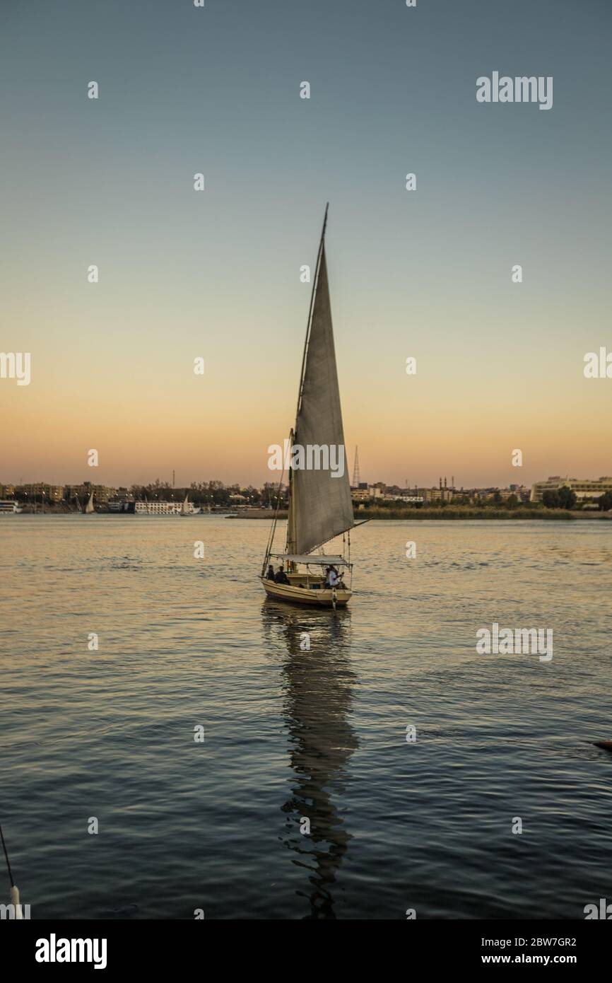 Felucca nile palm hi-res stock photography and images - Alamy