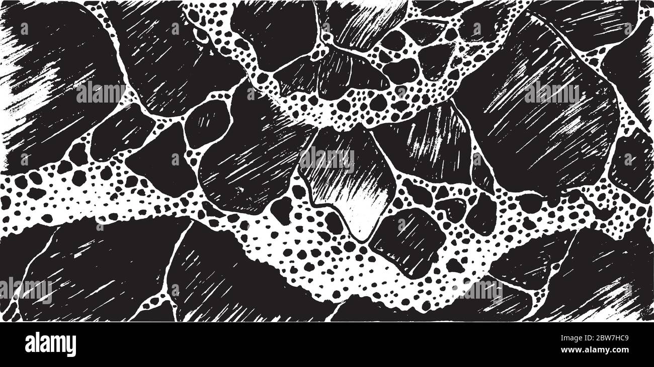 Top view sea Black and White Stock Photos & Images - Alamy