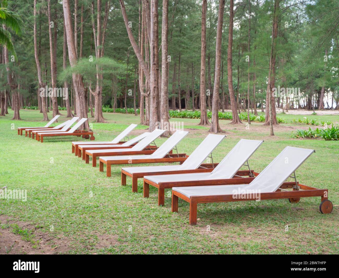 White cradle in the green lawn Stock Photo - Alamy