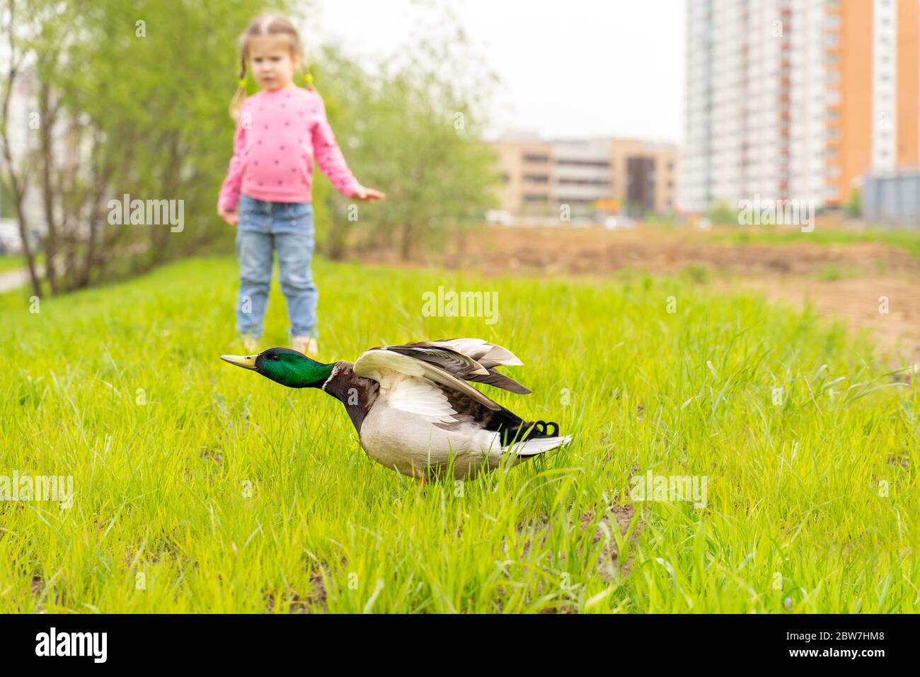 Child panic attack hi-res stock photography and images - Alamy